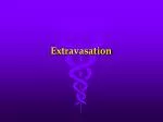 PPT - Extravasation PowerPoint Presentation - ID:2272151