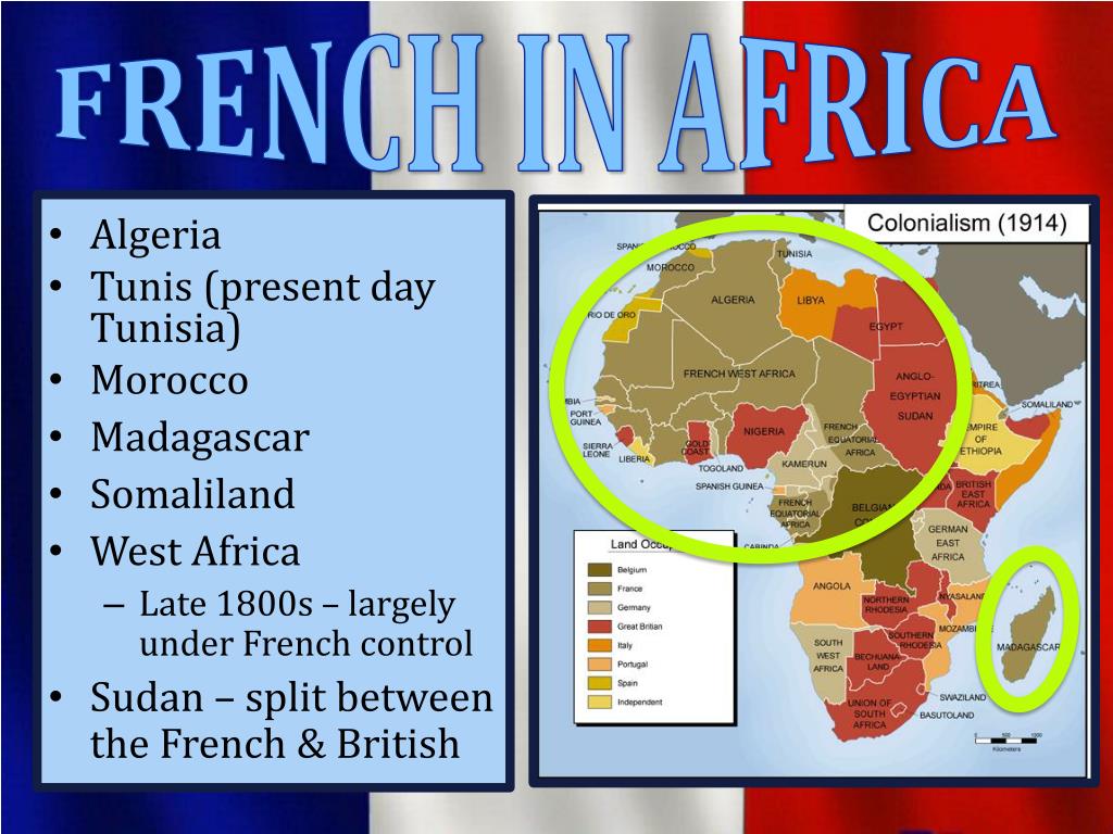 PPT - A Brief History of Imperialism in Africa PowerPoint Presentation ...