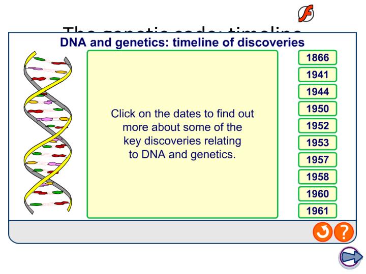PPT - Introduction to nucleotides PowerPoint Presentation - ID:2273267