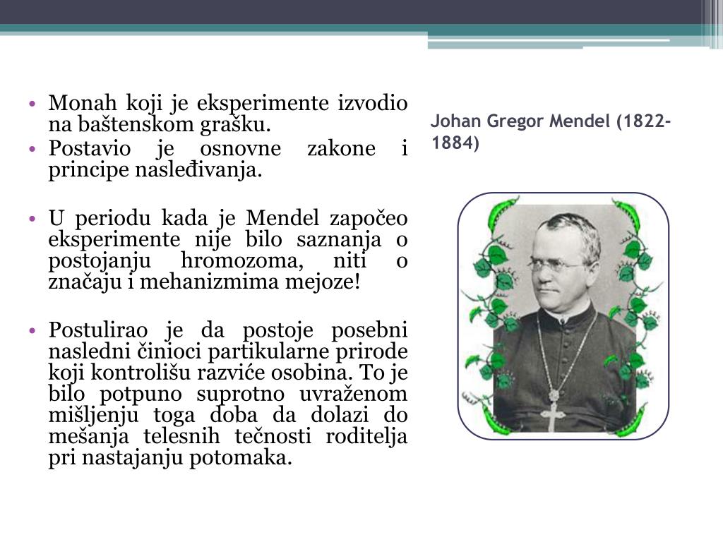 PPT - Mendelovska teorija nasleđivanja. Mendelovski principi i odnosi ...
