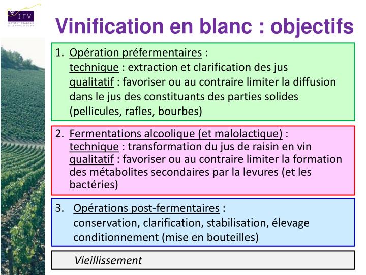 PPT - Œnologie Transformation du raisin en vin PowerPoint Presentation - ID:2273479