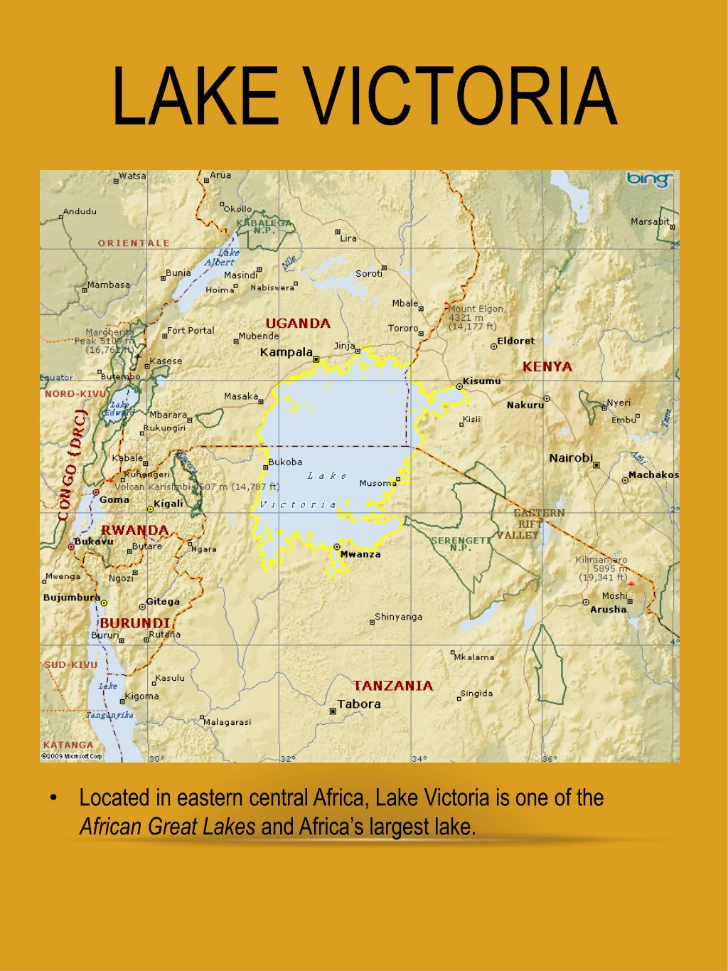 PPT - NILE PERCH ( Lates Niloticus ) IN LAKE VICTORIA PowerPoint ...