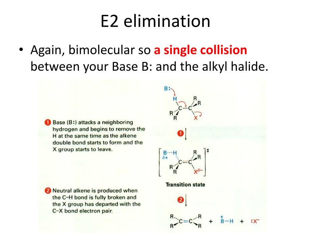 PPT - ORGANOHALIDES + Nucleophilic Reactions (S N 1/2, E1/E2/E1cB) PowerPoint Presentation - ID ...