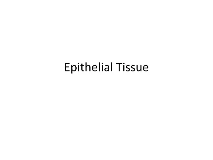 PPT - Epithelial Tissue PowerPoint Presentation, free download - ID:2274534