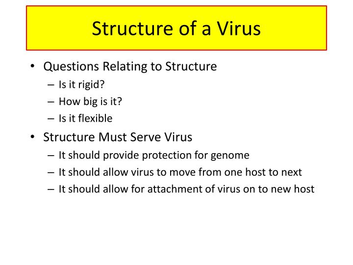 PPT - Virus Structure PowerPoint Presentation - ID:2274590