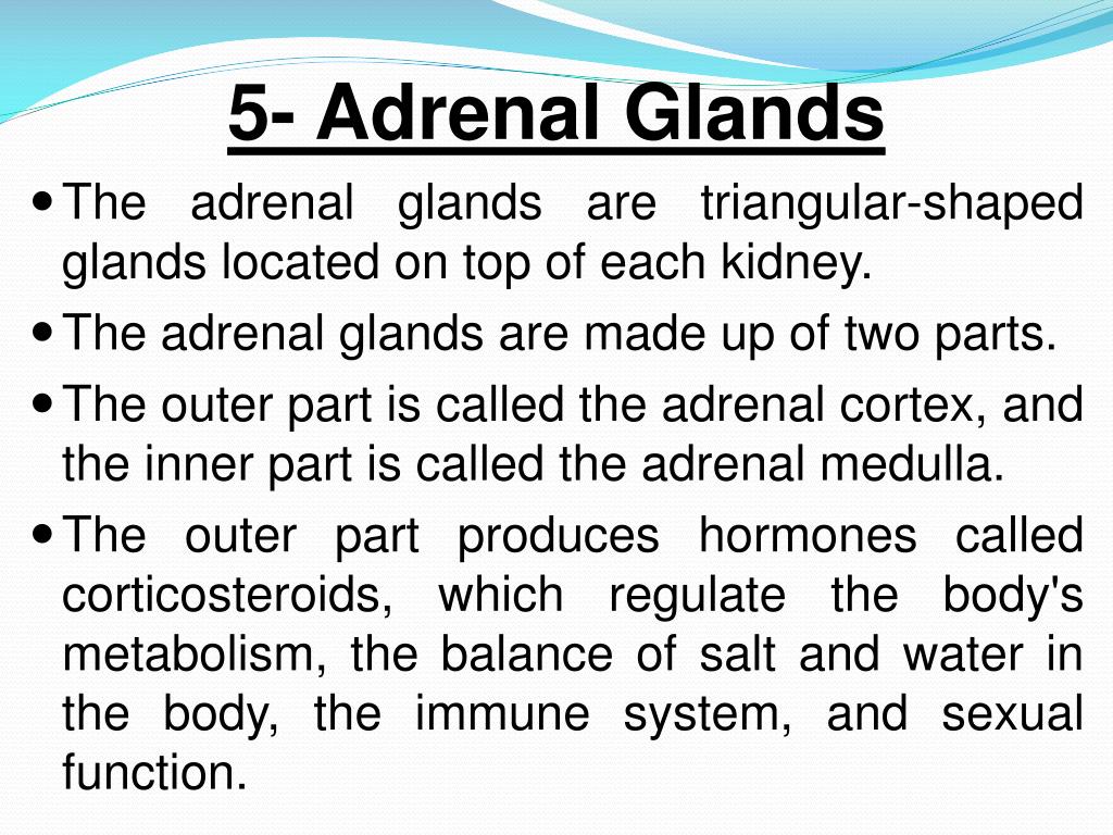 Ppt Hormones Powerpoint Presentation Free Download Id 2274621