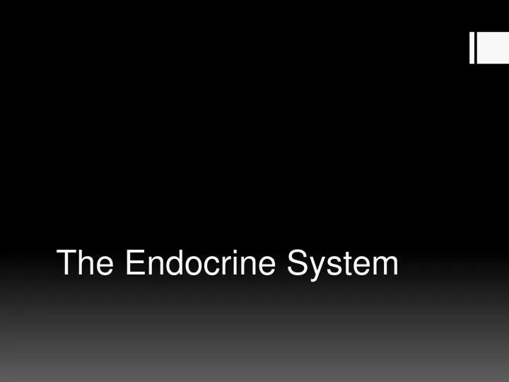 PPT - The Endocrine System PowerPoint Presentation, free download - ID ...