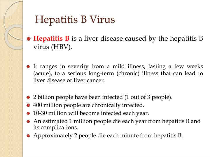 PPT - Hepatitis B Virus PowerPoint Presentation - ID:2274709