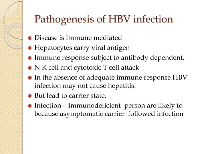 PPT - Hepatitis B Virus PowerPoint Presentation - ID:2274709