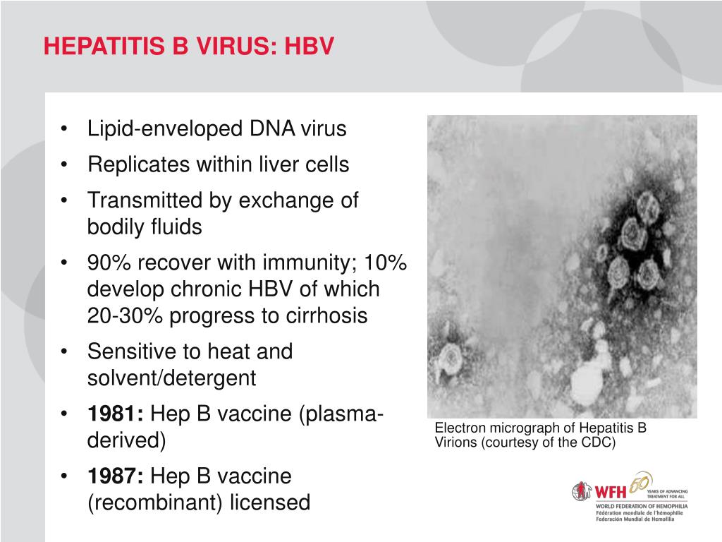 PPT - Complications: Viral Infections (HCV & HIV) PowerPoint ...