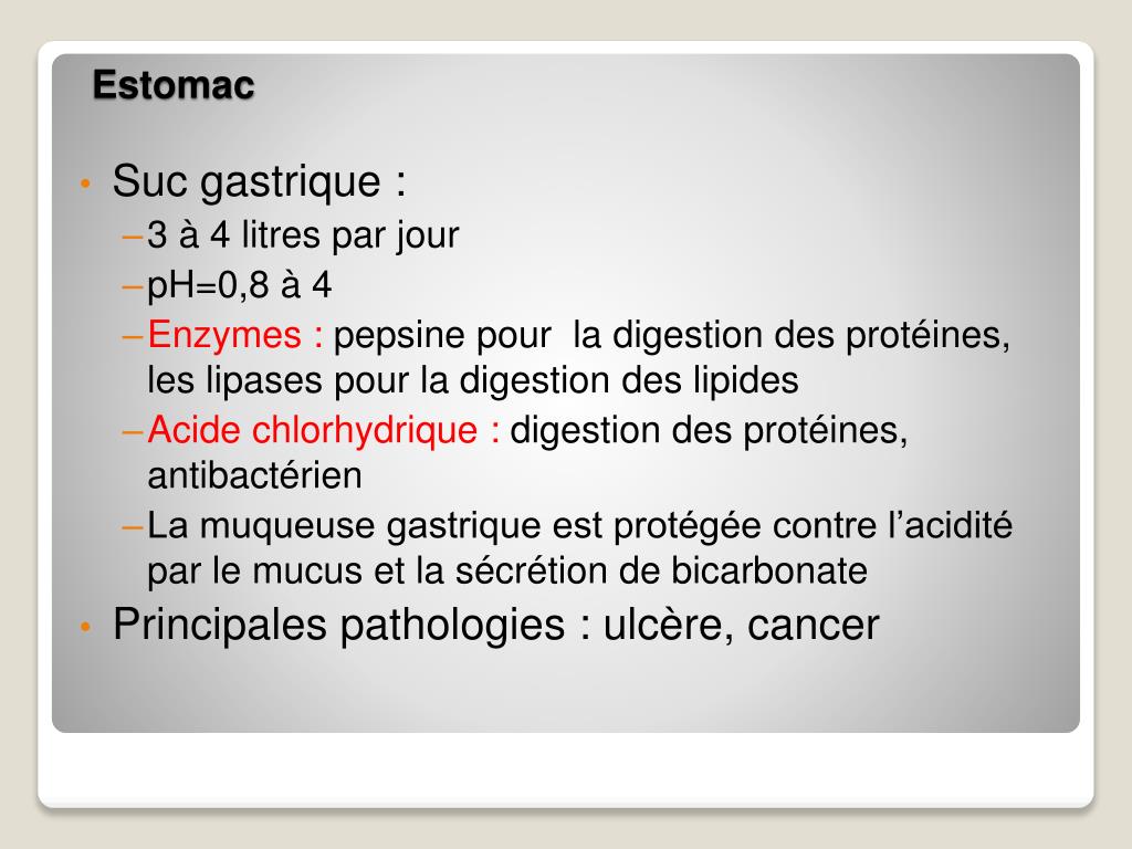 PPT - Flore bactérienne normale du tractus gastro-intestinal PowerPoint ...