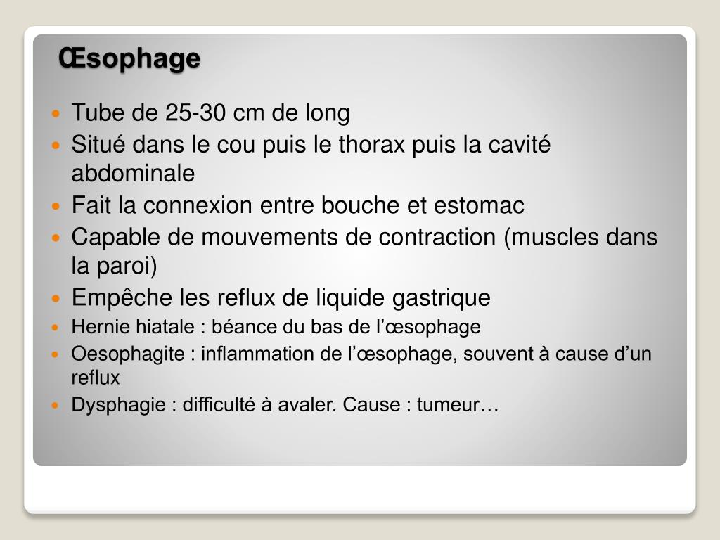 PPT - Flore bactérienne normale du tractus gastro-intestinal PowerPoint ...