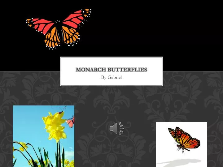 PPT - Monarch Butterflies PowerPoint Presentation, free download - ID ...