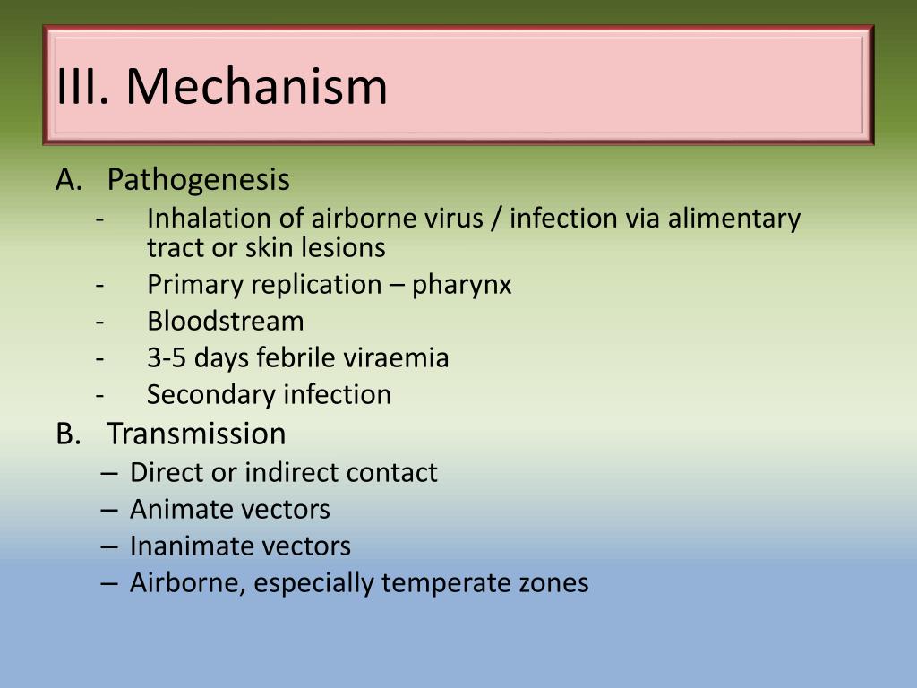 PPT - Foot and Mouth Disease Virus ( Aphthovirus ) PowerPoint ...