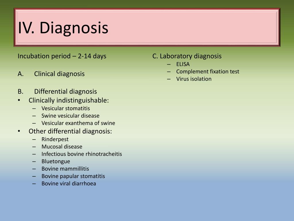 PPT - Foot and Mouth Disease Virus ( Aphthovirus ) PowerPoint ...