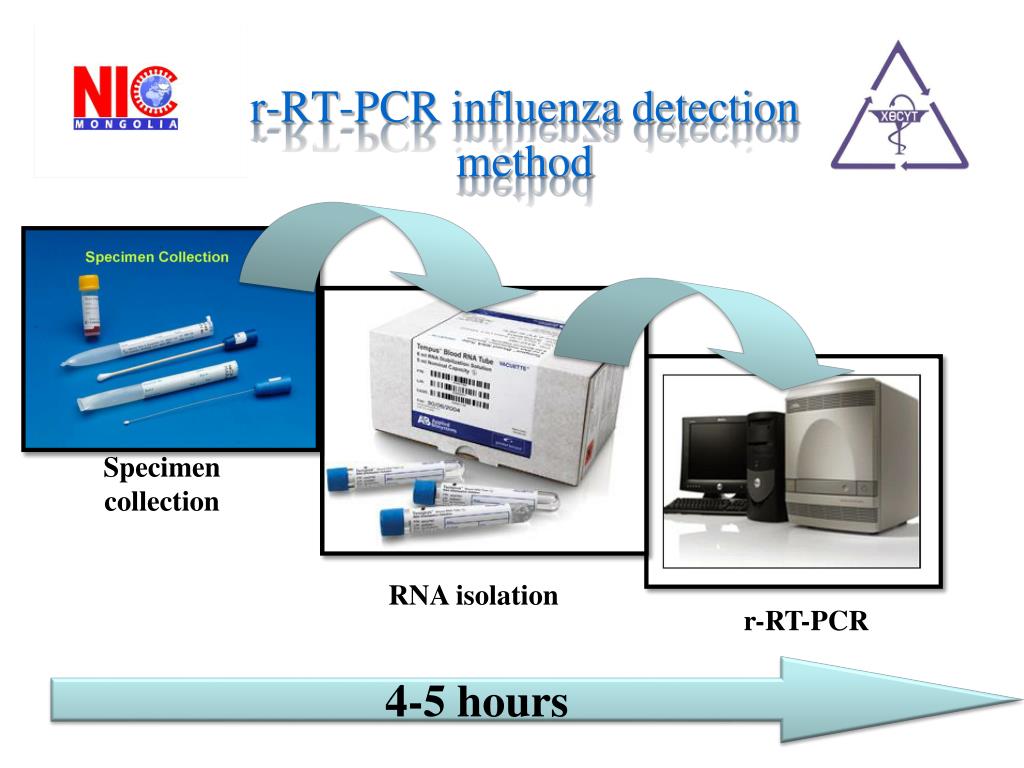 PPT - N.Naranbold, National Influenza Laboratory, National Center of ...