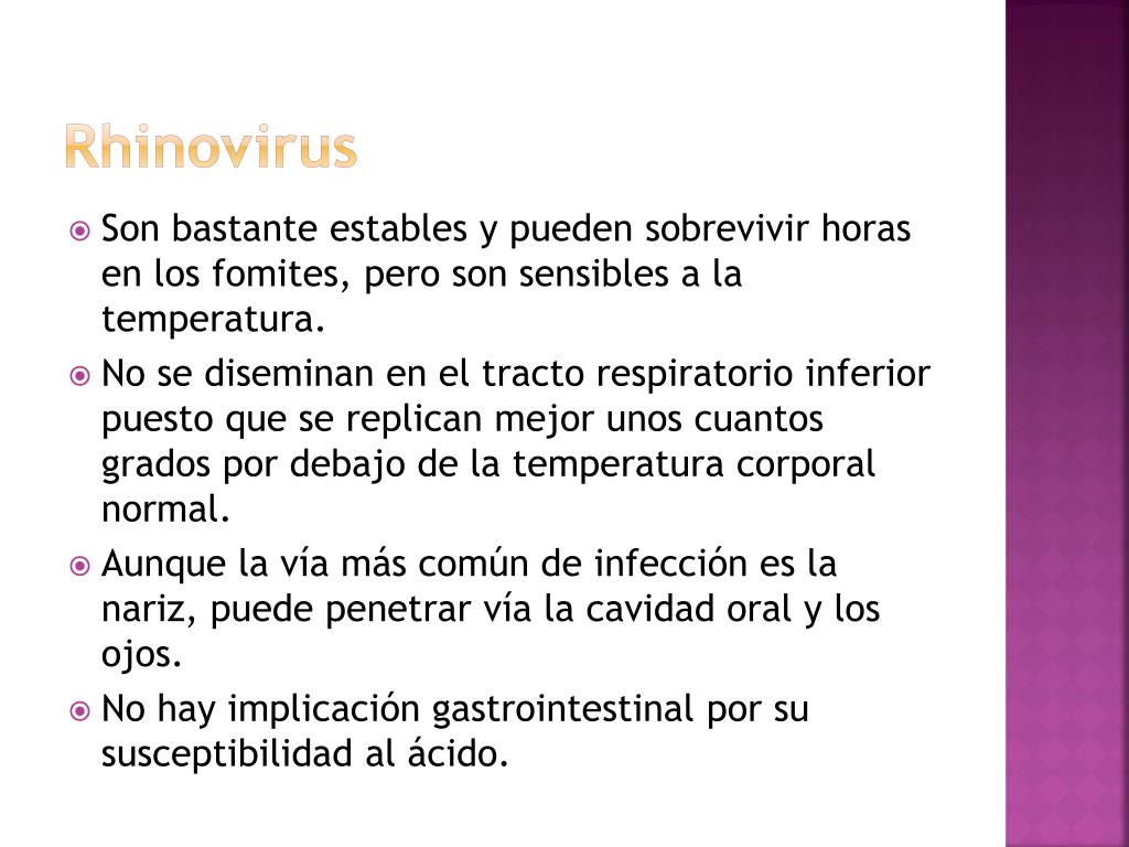 PPT - VIRUS RESPIRATORIOS Rhinovirus influenza parainfluenza PowerPoint ...