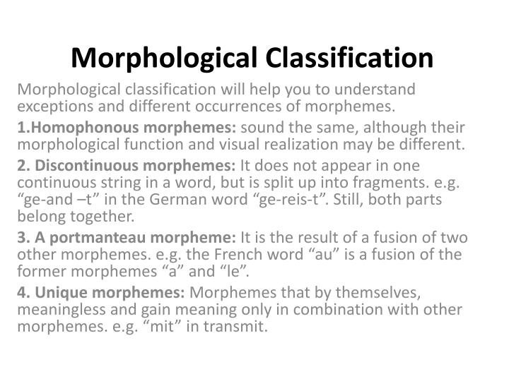 PPT - Morphology PowerPoint Presentation - ID:2275098