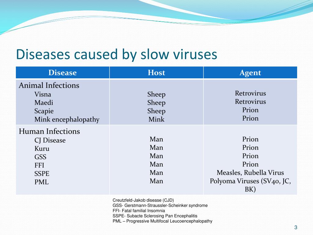 PPT - Slow viral or prion diseases of the central nervous system ...