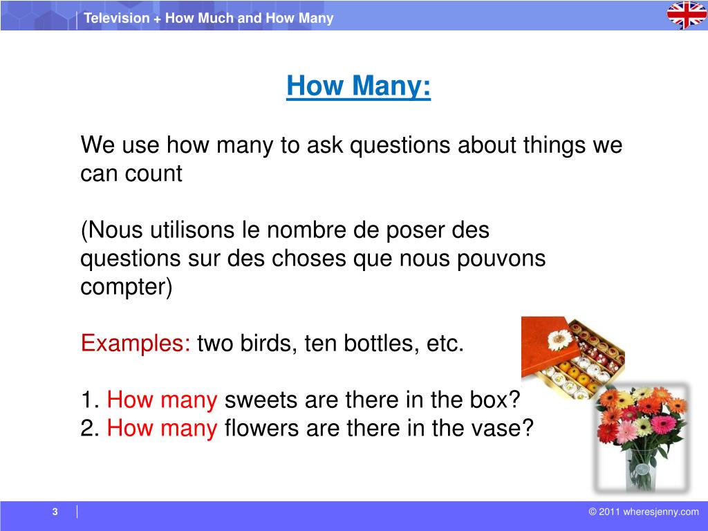 PPT HOW MUCH AND HOW MANY PowerPoint Presentation Free Download ID PPT HOW MUCH AND HOW MANY PowerPoint Presentation Free Download ID