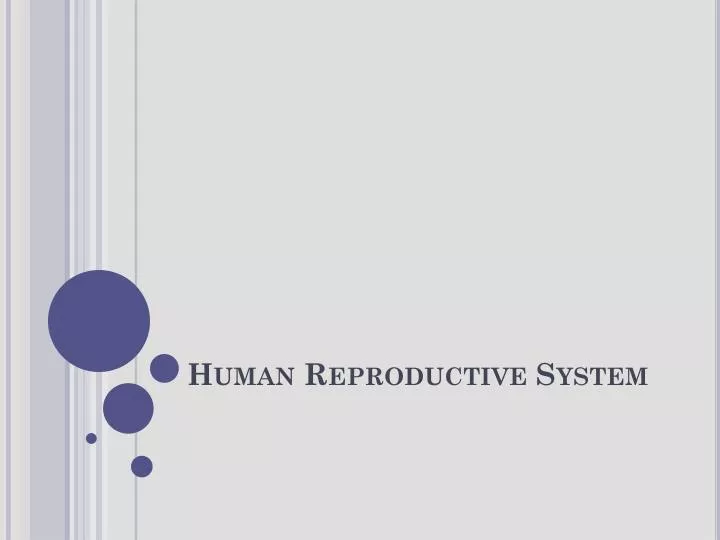 PPT - Human Reproductive System PowerPoint Presentation, free download ...
