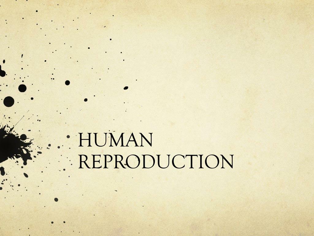 Ppt Human Reproduction Powerpoint Presentation Free Download Id