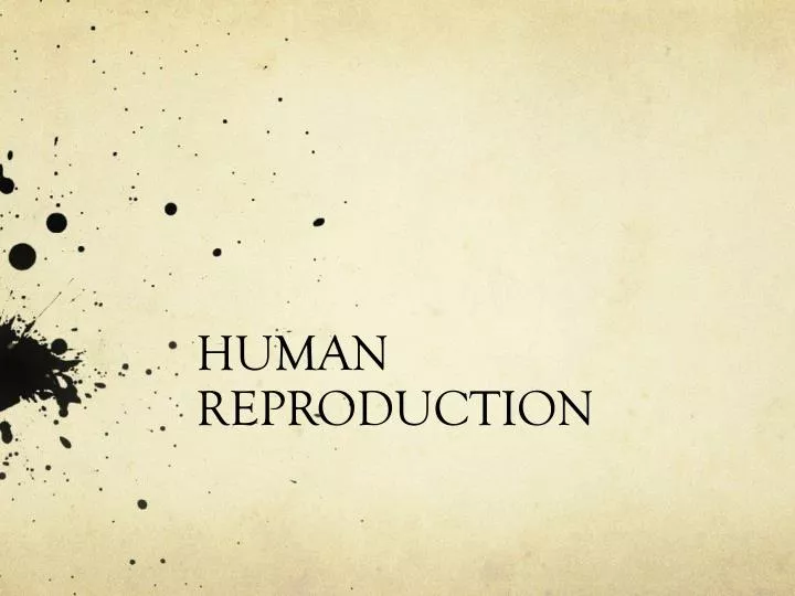 Ppt Human Reproduction Powerpoint Presentation Free Download Id