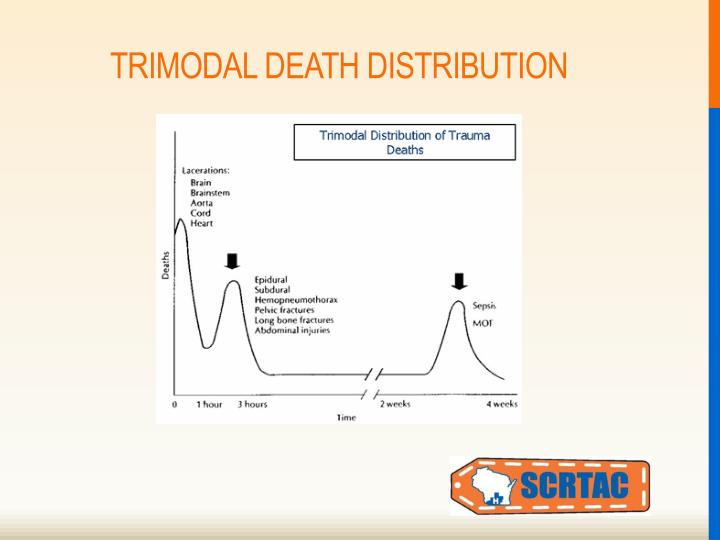 PPT - Case studies in Abdominal trauma PowerPoint Presentation - ID:2276008
