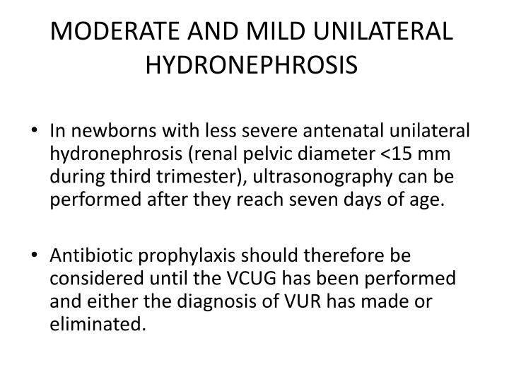 PPT - ANTENATAL HYDRONEPHROSIS PowerPoint Presentation - ID:2276979