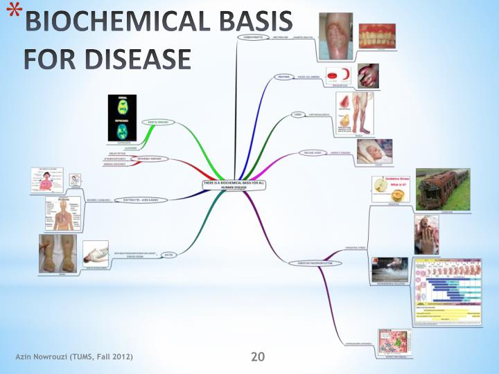 PPT - BIOCHEMISTRY FOR MEDICAL STUDENTS PowerPoint Presentation - ID ...