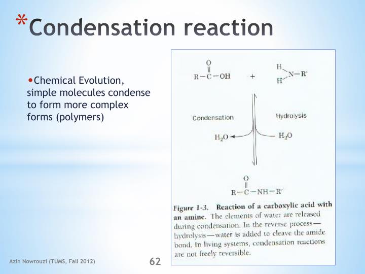 PPT - BIOCHEMISTRY FOR MEDICAL STUDENTS PowerPoint Presentation - ID ...