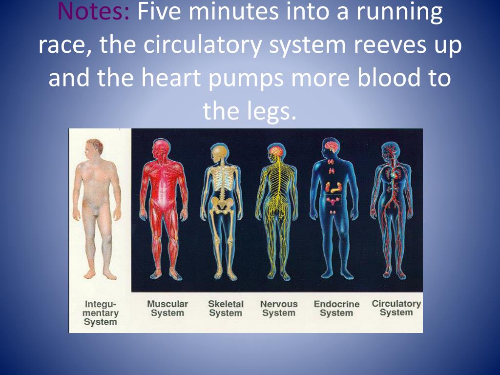 PPT - http://www.sandiegozoo.org/wap/wap_map.html Check out Roar and ...