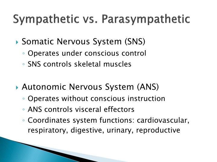 PPT - Pathways for sensory information and motor commands PowerPoint ...