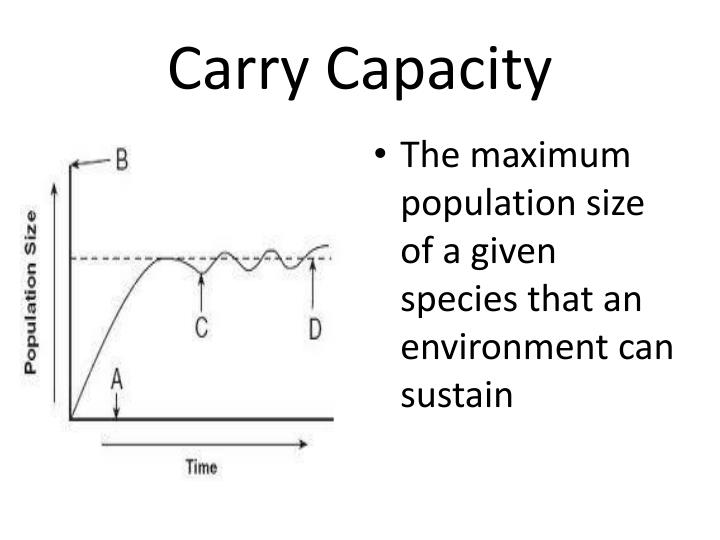 PPT - What limiting factors influence carrying capacity? PowerPoint ...