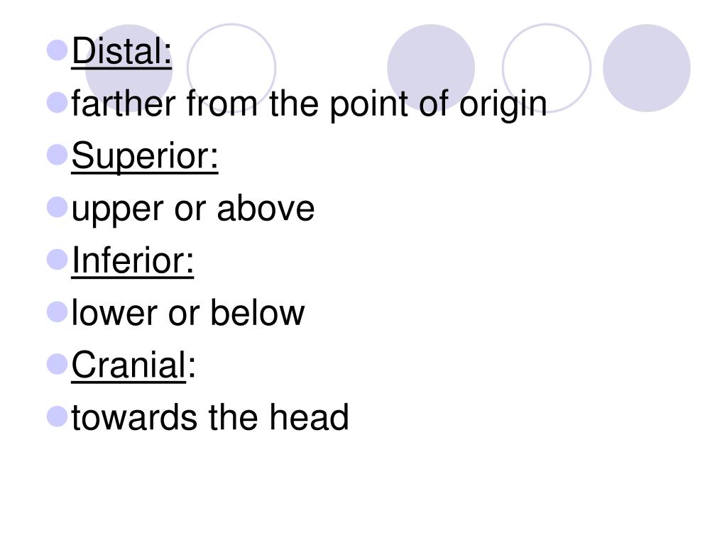 PPT - Directional Terms , Planes, Body Cavities, Body Regions ...