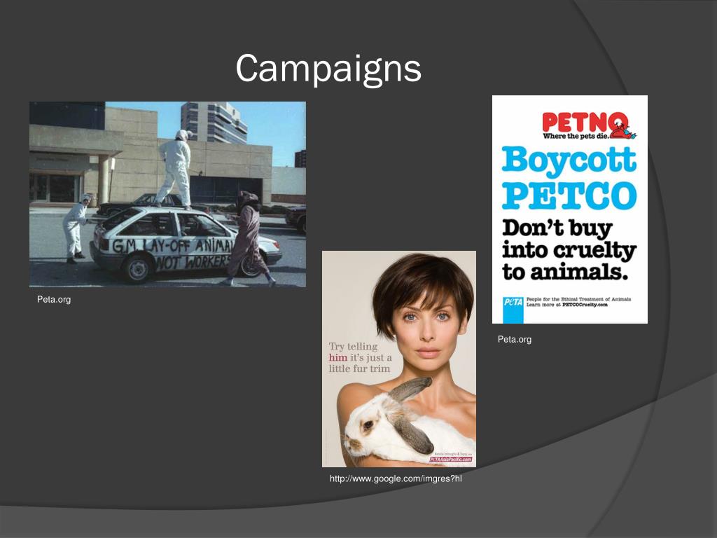PPT - PETA People for the Ethical Treatment of Animals PowerPoint ...