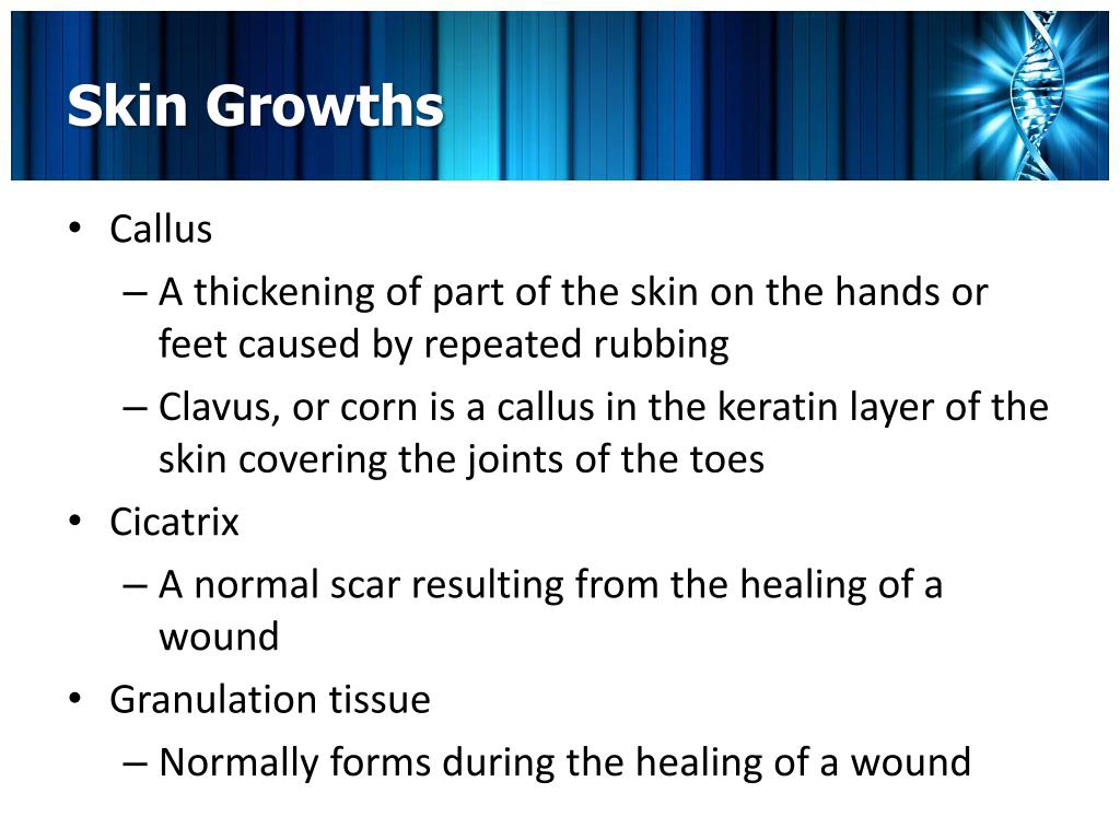 PPT - Pathology & Treatments of the Skin PowerPoint Presentation - ID ...