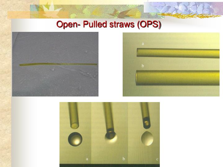 PPT - Vitrification in ART PowerPoint Presentation - ID:2278346