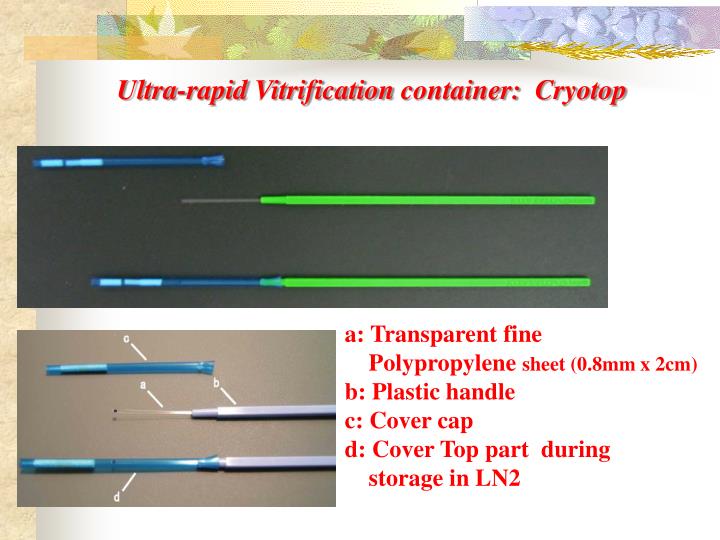 PPT - Vitrification in ART PowerPoint Presentation - ID:2278346