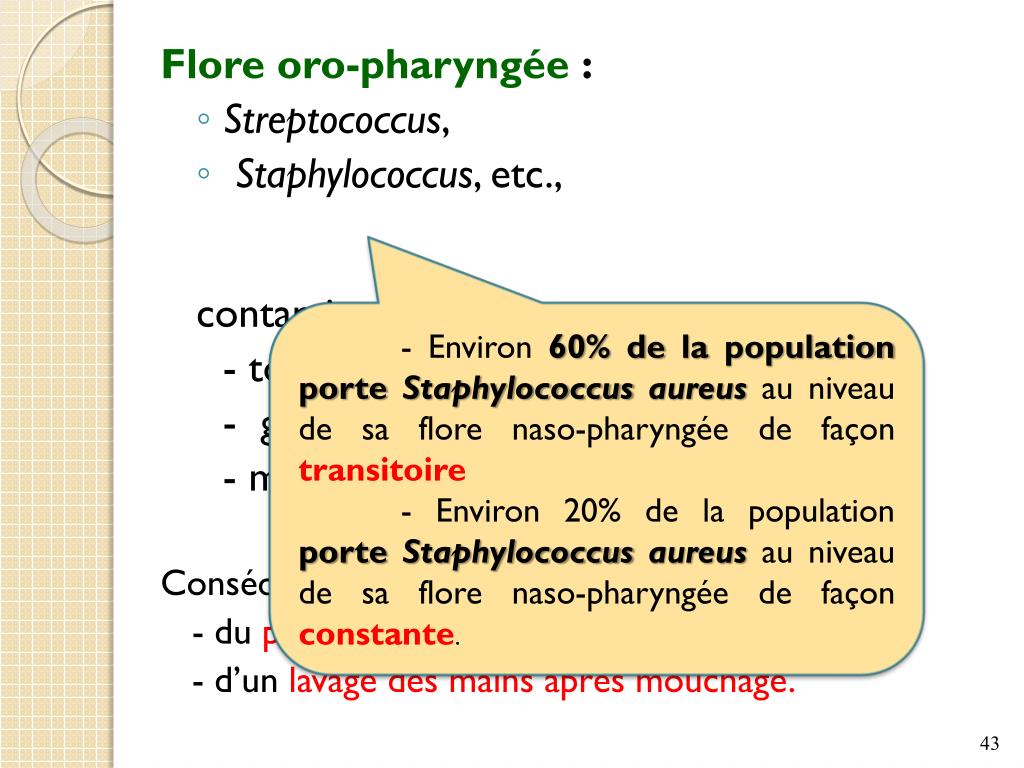 PPT - Les risques microbiologiques des locaux Leur hygiène et leur ...