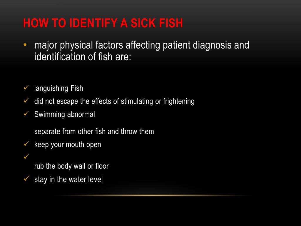 PPT - viral disease in aquarium fish PowerPoint Presentation, free ...