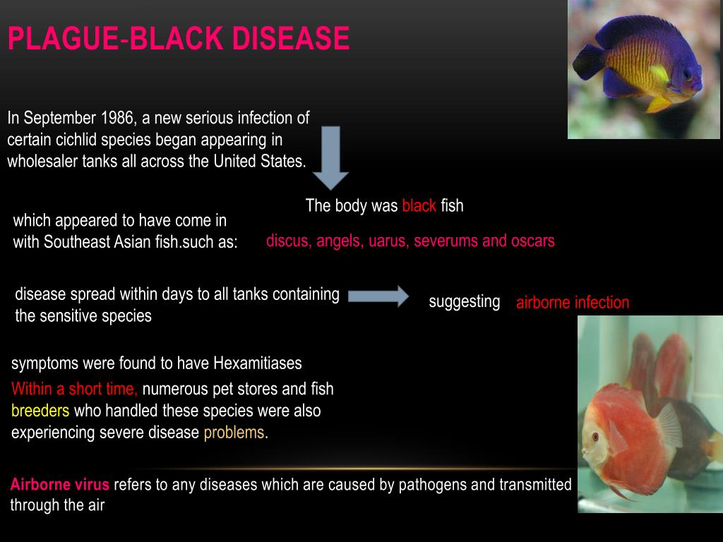 PPT - viral disease in aquarium fish PowerPoint Presentation, free ...