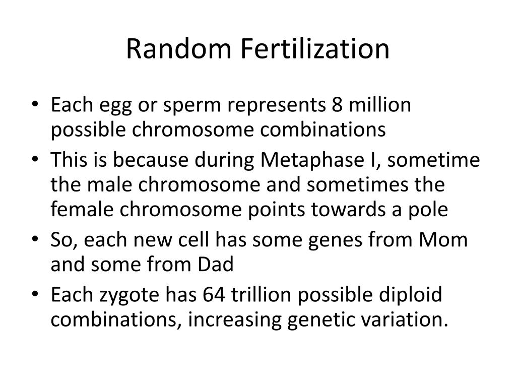 PPT - Chapter 13 PowerPoint Presentation, free download - ID:2279042