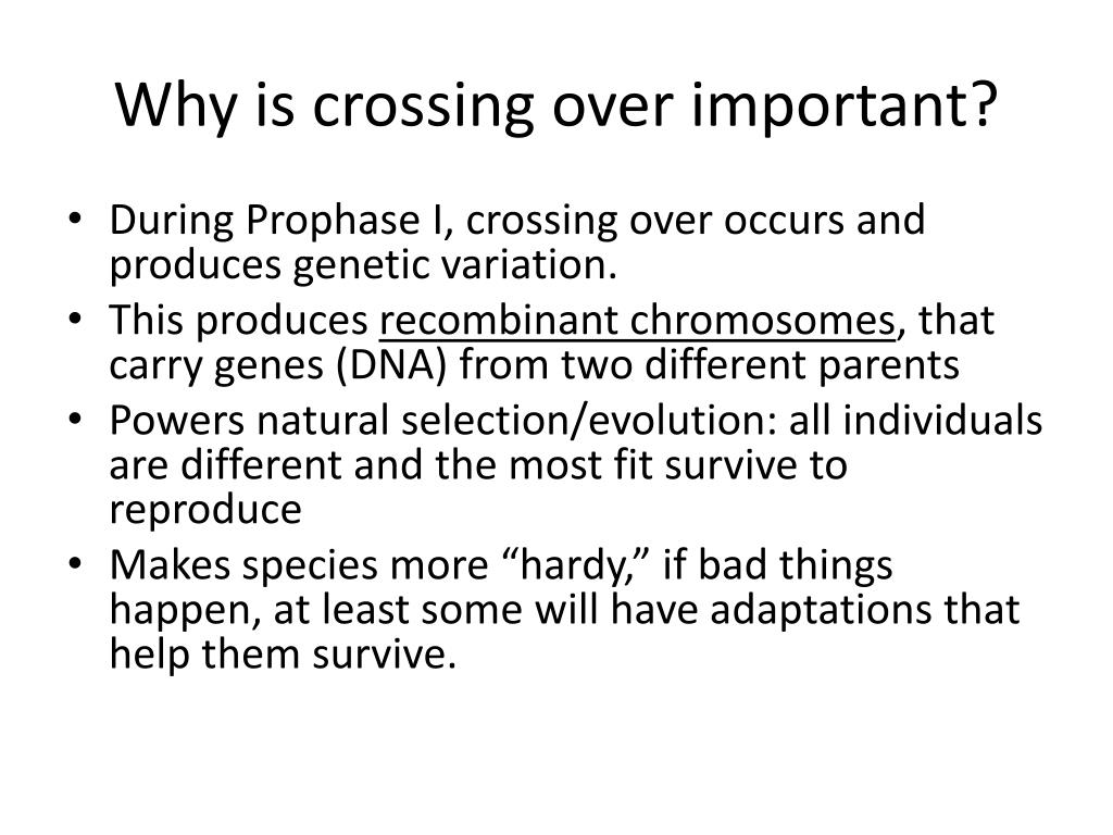 PPT - Chapter 13 PowerPoint Presentation, free download - ID:2279042