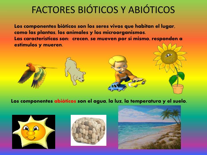 PPT - ECOSISTEMAS PowerPoint Presentation - ID:2279244