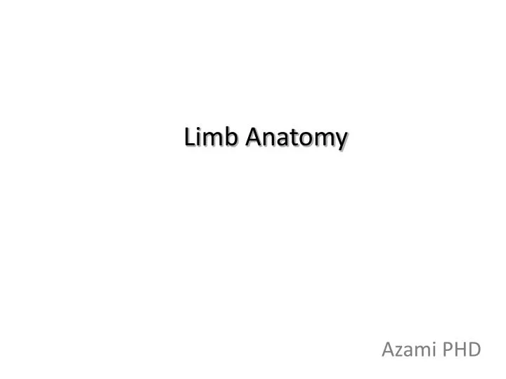 PPT - Limb Anatomy PowerPoint Presentation, free download - ID:2279266