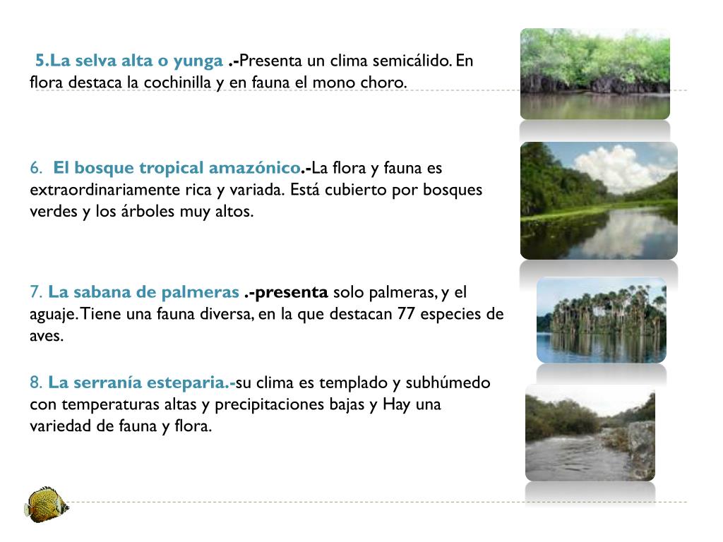 PPT - Asddadsa *Título Aquí* ? El Perú?? Regiones del Perú? PowerPoint ...