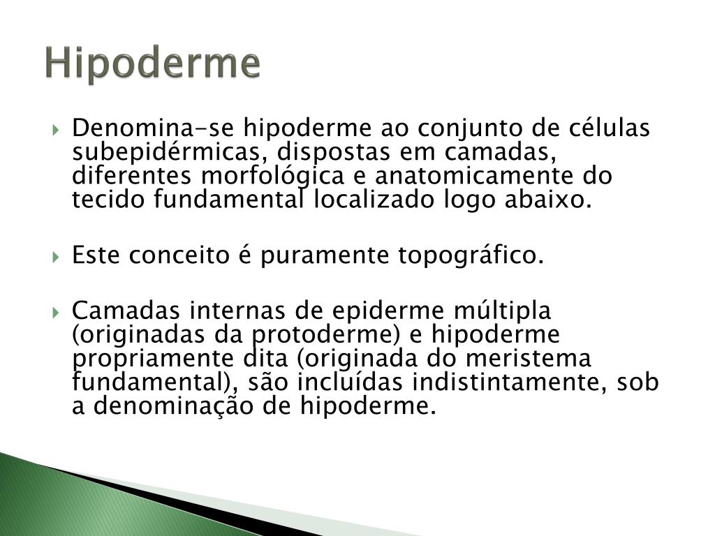 PPT - HISTOLOGIA VEGETAL AULA 2 PowerPoint Presentation, free download ...