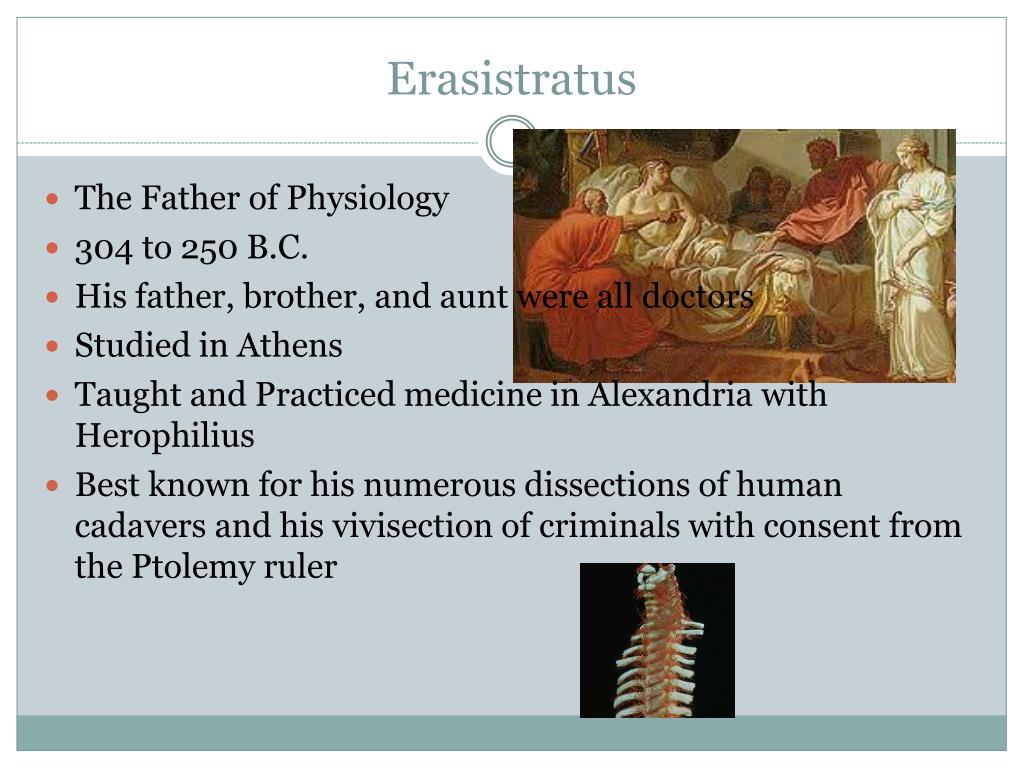 PPT - History of Anatomy and Physiology Pre-Greek & Grecian Times ...