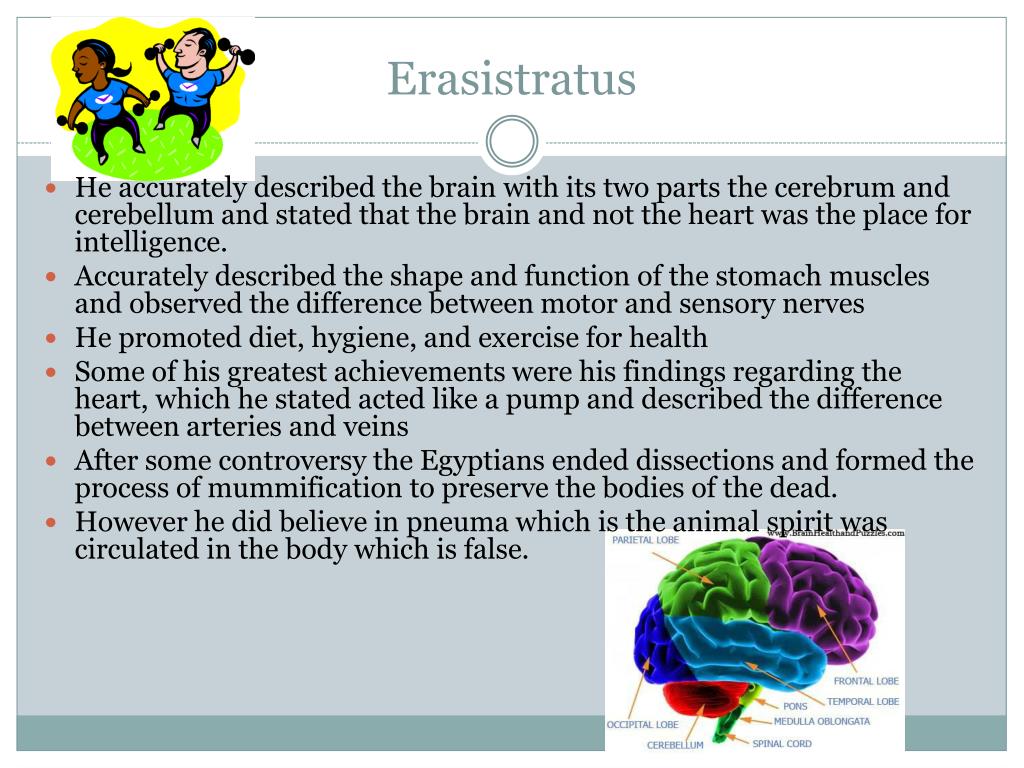 PPT - History of Anatomy and Physiology Pre-Greek & Grecian Times ...